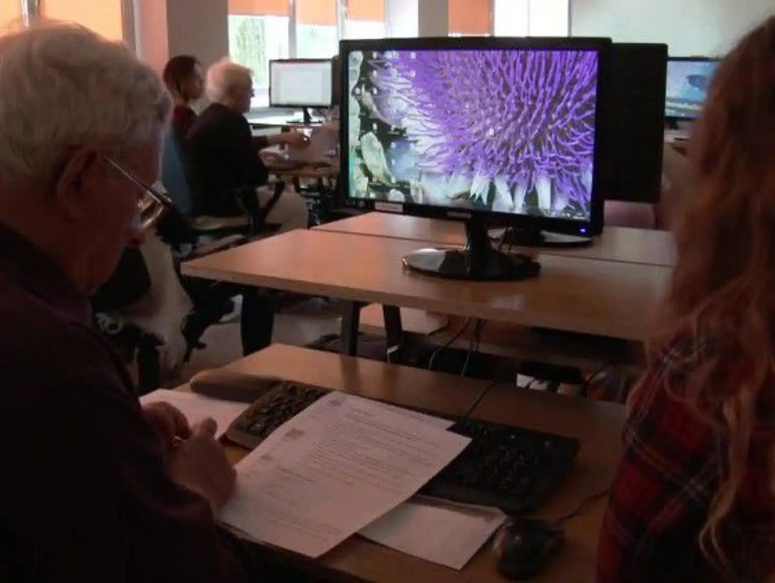 Komputer i Internet dla seniora