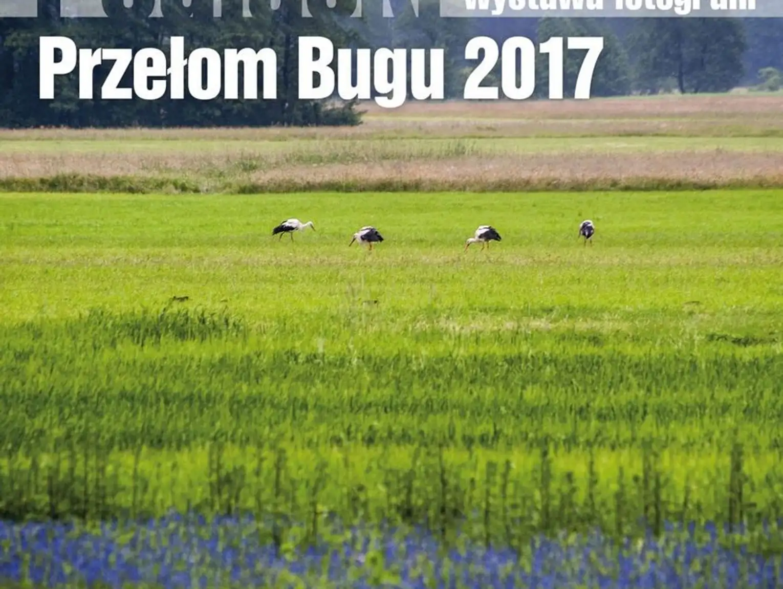 "Podlaski Przełom Bugu 2017"